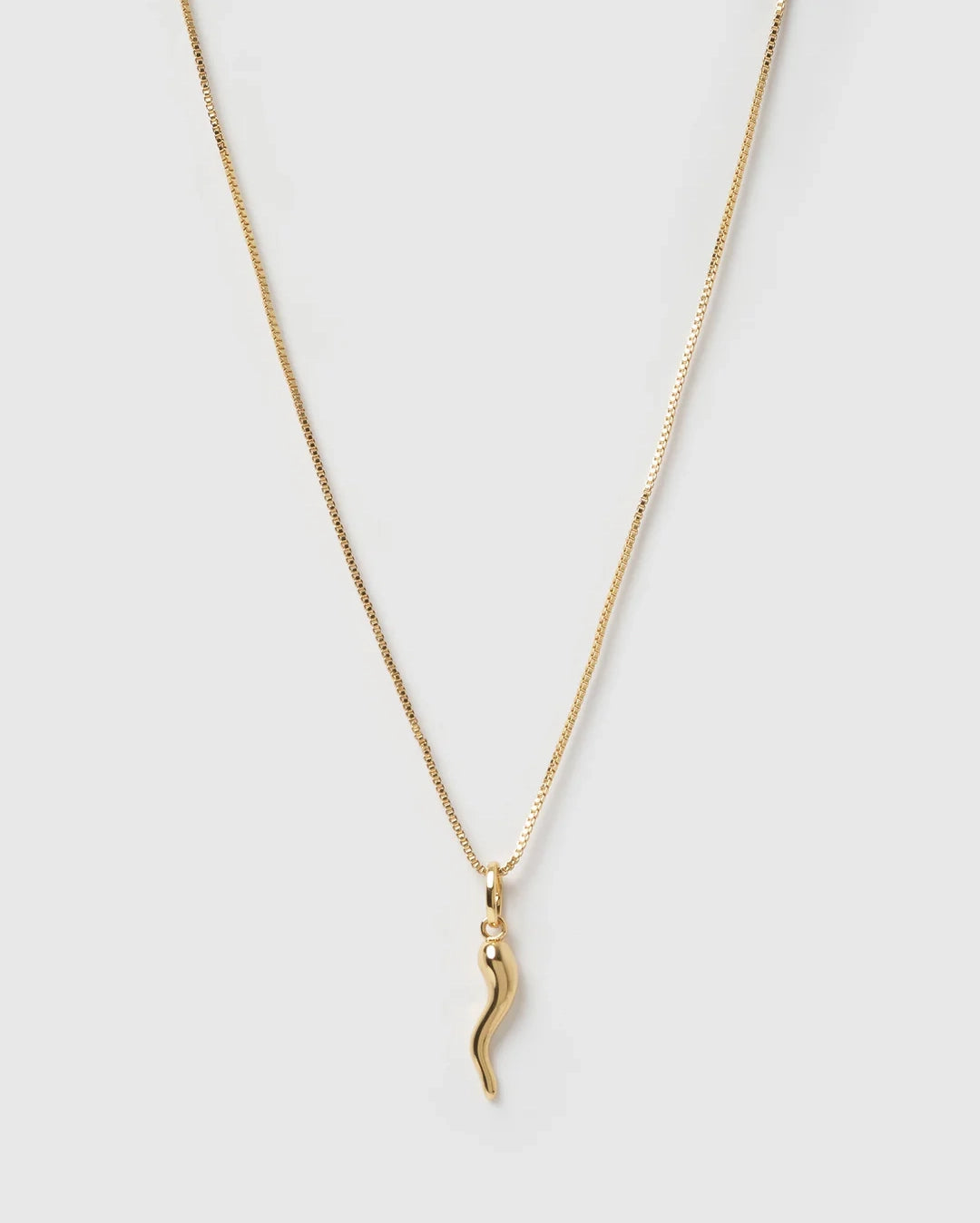 Arms of Eve Cornicello Gold Charm Necklace – Wally